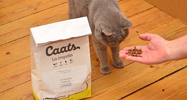 Croquettes Caats pour Chats Stérilisés : Test et Avis Complet